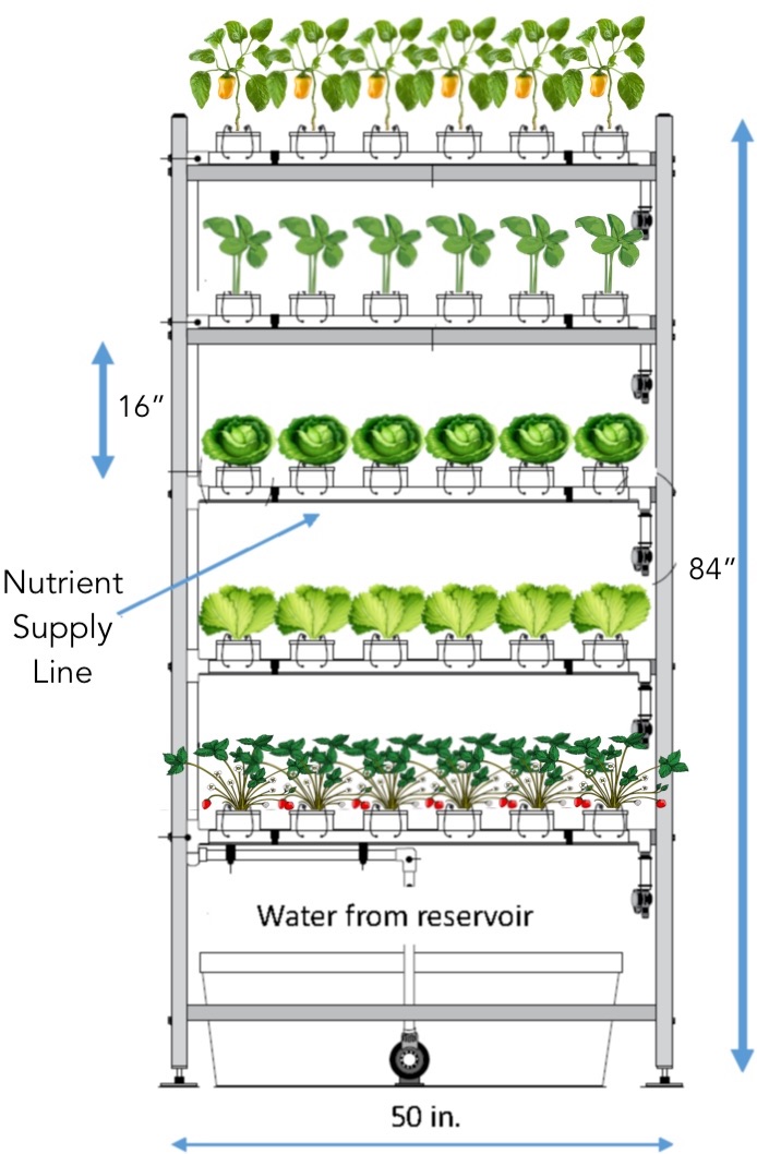 ‘Vertical farms’ envisioned as path out of recidivism - DBT
