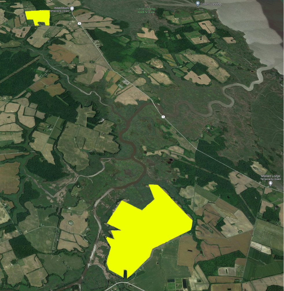 Amazon inks deal for Cedar Creek solar power - Delaware Business Times